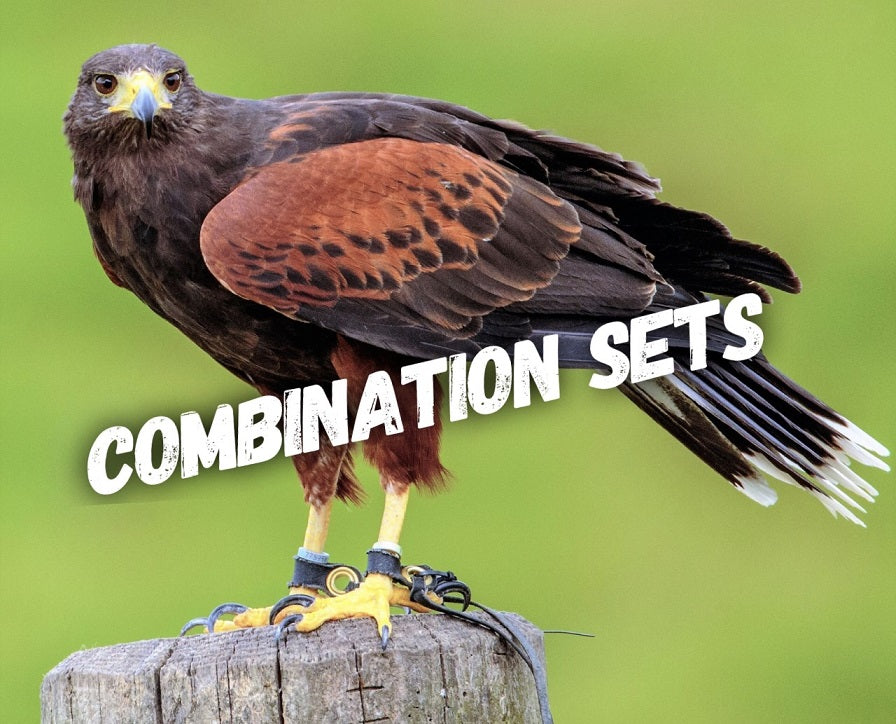 Combination Sets – GB Falconry Supplies